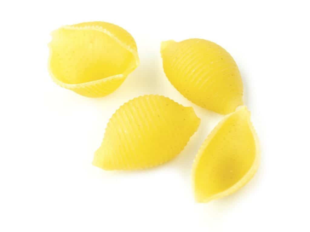 Medium Shell Pasta | Bulk-Priced Food Shoppe